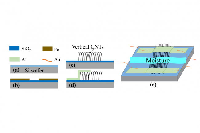 Paper ”A Vertically Aligned Multi-Wall Carbon Nanotube based Humidity ...